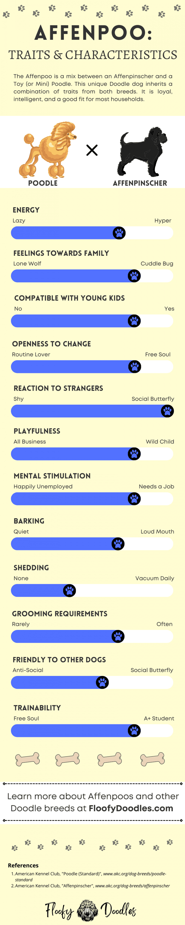 Affenpoo Dog Breed (Affenpinscher and Poodle) Information