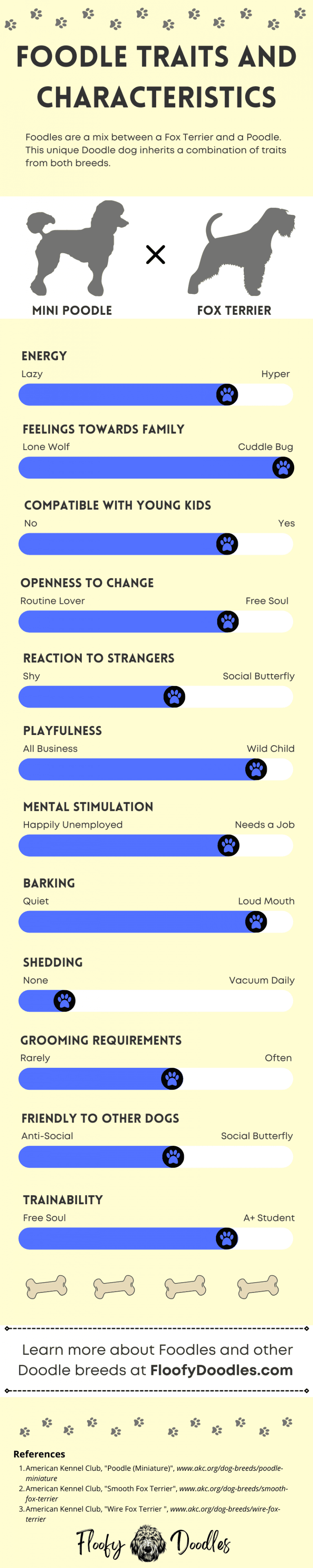Foodle Dog Complete Guide: The Poodle & Fox Terrier Mix