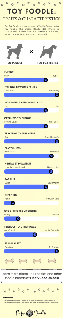 Toy Foodle Breed Info: Origin, Traits, Pics, Puppies, & Cost