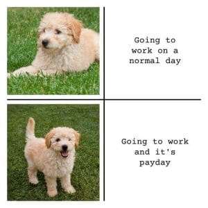 21 Funny Goldendoodle Memes Only Owners Understand