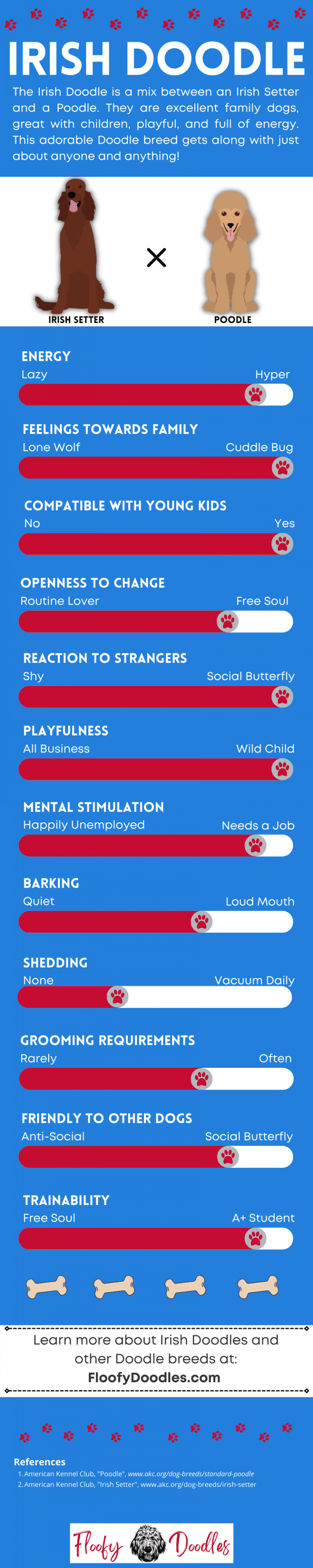Irish Doodle: Meet The Perfect Family Dog [Breed Guide]