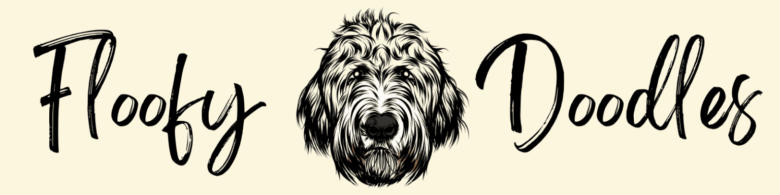 Bloodhoodle: The Bloodhound Poodle Mix [Breed Guide]