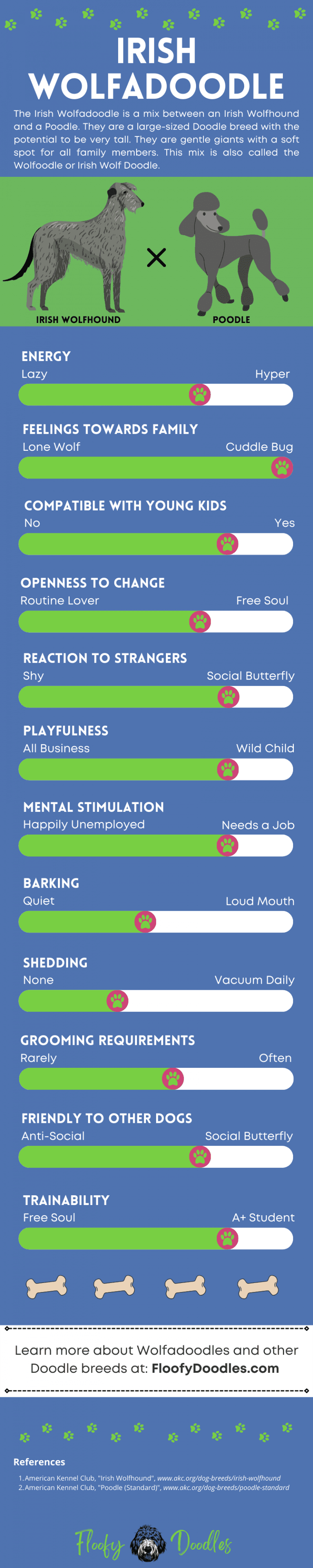 Irish Wolfhound Poodle Mix: Meet the Wolfadoodle!