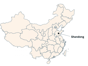 Chinese Red Dog: Meet the Protective Laizhou Hong