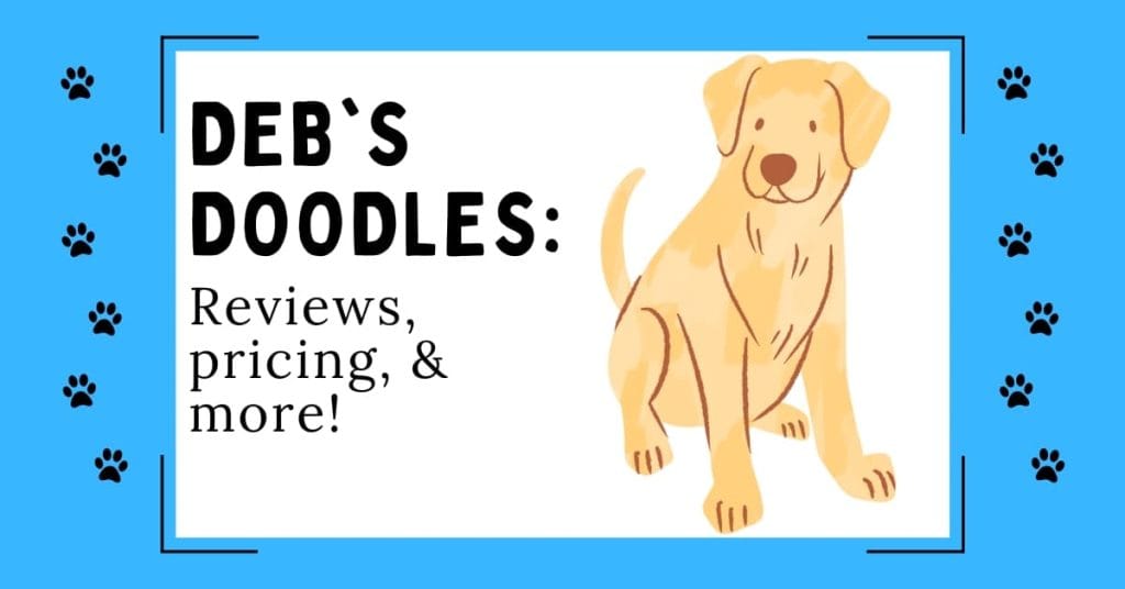 Deb’s Doodles: The Right Doodle Breeder For You?
