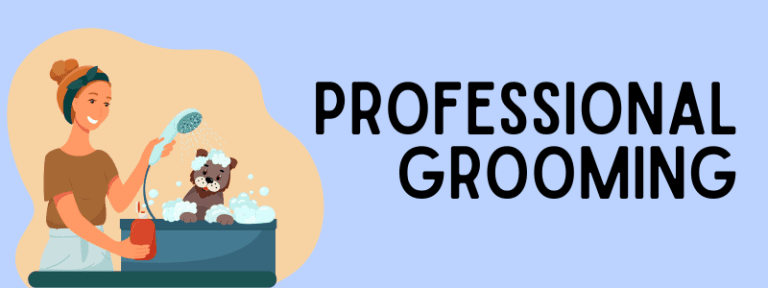 Whoodle Grooming: Pro Tips for a Flawless Pup!