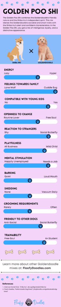 Goldendoodle Shiba Inu Mix: Meet the Golden Poo Shi!